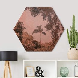 Bilderwelten Hexagon-Alu-Dibond Bild Garten auf Madeira