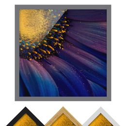 Bilderwelten Bild mit Rahmen - Quadrat Blaue Gerberabl&uuml;te