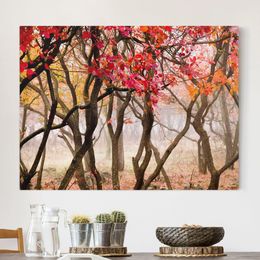 Bilderwelten Leinwandbild - Querformat Japan im Herbst