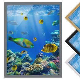 Bilderwelten Bild mit Rahmen - Hochformat Underwater Lights