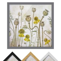 Bilderwelten Bild mit Rahmen - Quadrat Mohn und Helenium
