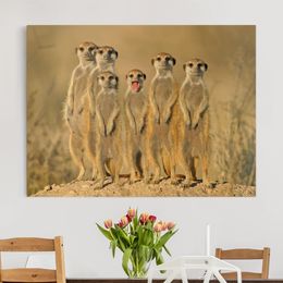 Bilderwelten Leinwandbild - Querformat Meerkat Family
