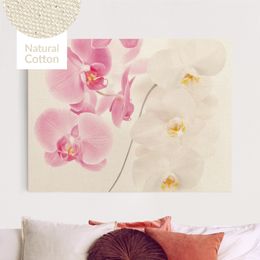 Bilderwelten Leinwandbild - Querformat Delicate Orchids