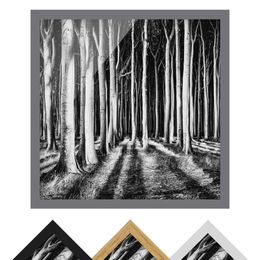 Bilderwelten Bild mit Rahmen - Quadrat Geisterwald