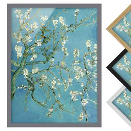 Bilderwelten Bild mit Rahmen - Hochformat Vincent van Gogh - Mandelbl&uuml;te