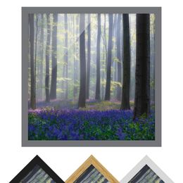 Bilderwelten Bild mit Rahmen - Quadrat Fr&uuml;hlingstag im Wald