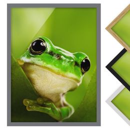 Bilderwelten Bild mit Rahmen - Hochformat Wetterfrosch