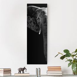 Bilderwelten Leinwandbild - Hochformat Afrikanischer Elefant schwarz-wei&szlig;