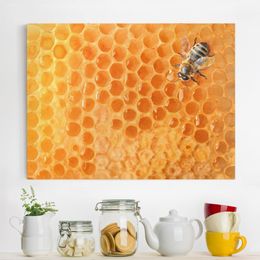 Bilderwelten Leinwandbild - Querformat Honey Bee