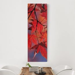 Bilderwelten Leinwandbild - Hochformat Red Maple