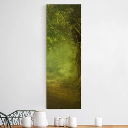 Bilderwelten Leinwandbild - Hochformat Waldspaziergang