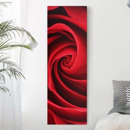 Bilderwelten Leinwandbild - Hochformat Red Rose Blossom