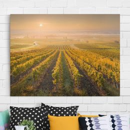 Bilderwelten Leinwandbild - Querformat Herbstliche Weinberge bei Wien