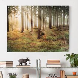 Bilderwelten Leinwandbild - Querformat Morning Forest