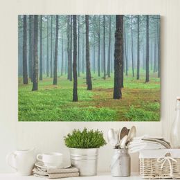 Bilderwelten Leinwandbild - Querformat Tiefer Wald mit Kiefern auf La Palma