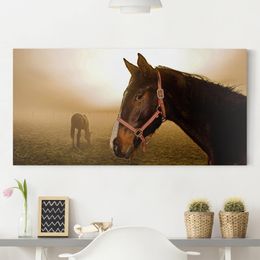 Bilderwelten Leinwandbild - Querformat Early Horse