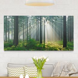 Bilderwelten Leinwandbild - Querformat Enlightened Forest