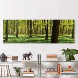 Bilderwelten Leinwandbild - Panorama Waldwiese