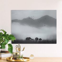 Bilderwelten Leinwandbild Badende Elefanten