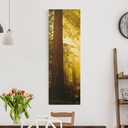 Bilderwelten Leinwandbild - Hochformat Morgengold