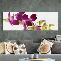 Bilderwelten Leinwandbild - Panorama Pink Orchid Waters