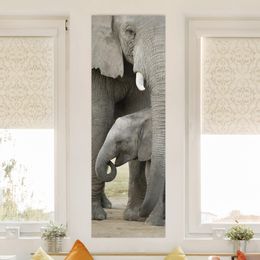 Bilderwelten Leinwandbild - Hochformat Elefantenliebe