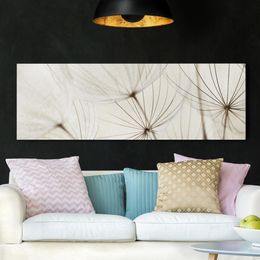 Bilderwelten Leinwandbild - Panorama Sanfte Gr&auml;ser