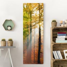 Bilderwelten Leinwandbild - Hochformat Morning Light