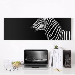 Bilderwelten Leinwandbild - Panorama Zebra Safari Art