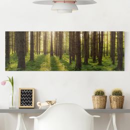 Bilderwelten Leinwandbild - Panorama Sonnenstrahlen in gr&uuml;nem Wald