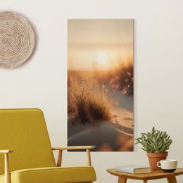 Bilderwelten Leinwandbild Zarte Gr&auml;ser im Sonnenaufgang II