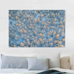 Bilderwelten Leinwandbild Wald modern Kunstdruck blau - Winterlicher Sonnenuntergang im Wald - B&auml;ume XXL Wohnzimmer Schlafzimmer