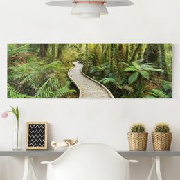 Bilderwelten Leinwandbild - Panorama Pfad im Urwald
