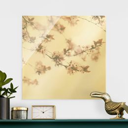 Bilderwelten Glasbild Erinnerungen an den Fr&uuml;hling