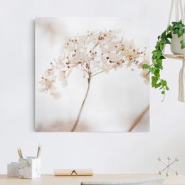 Bilderwelten Leinwandbild Landhaus Kunstdruck beige - Zarte hellgelbe Trockenblume - Wandbild XXL Wohnzimmer Schlafzimmer