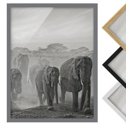 Bilderwelten Bild mit Rahmen - Hochformat Elefantenherde