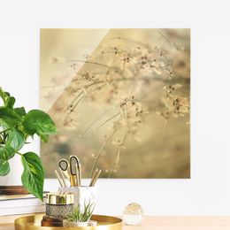 Bilderwelten Glasbild F&uuml;r immer Fr&uuml;hling