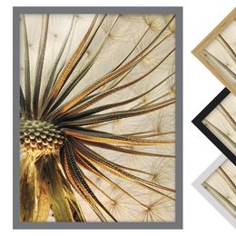 Bilderwelten Bild mit Rahmen - Hochformat Dandelion Close Up