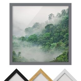 Bilderwelten Bild mit Rahmen - Quadrat Dschungel im Nebel