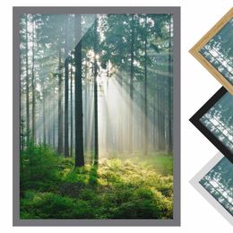Bilderwelten Bild mit Rahmen - Hochformat Enlightened Forest