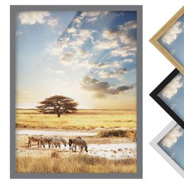 Bilderwelten Bild mit Rahmen - Hochformat Das Leben der Zebras