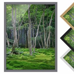 Bilderwelten Bild mit Rahmen - Hochformat Japanischer Wald