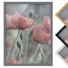 Bilderwelten Bild mit Rahmen - Hochformat Malerische Mohnblumen