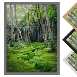 Bilderwelten Bild mit Rahmen - Hochformat Growing Trees