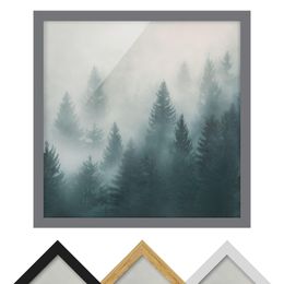 Bilderwelten Bild mit Rahmen - Quadrat Nadelwald im Nebel