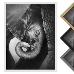 Bilderwelten Bild mit Rahmen Tiere grau modern inkl. Rahmung - Mutterliebe - Elefant Wohnzimmer Schlafzimmer