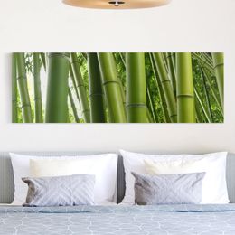 Bilderwelten Leinwandbild - Panorama Bamboo Trees