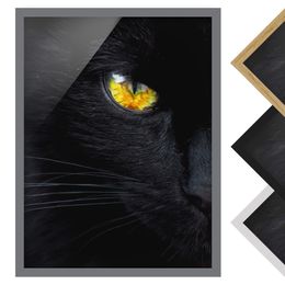 Bilderwelten Bild mit Rahmen - Hochformat Hypnotischer Blick