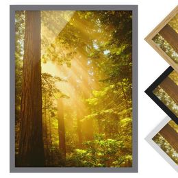 Bilderwelten Bild mit Rahmen - Hochformat Morgengold