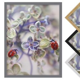 Bilderwelten Bild mit Rahmen - Hochformat Marienk&auml;fer im Garten